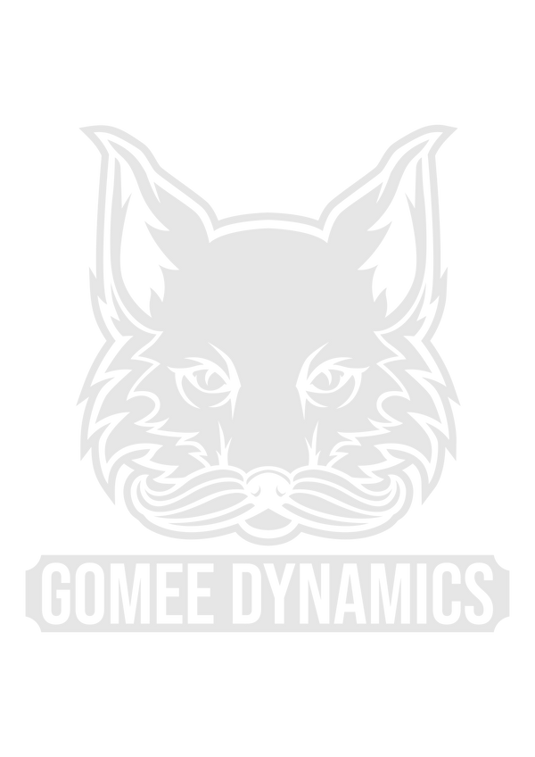 Gomee Dynamics LLC